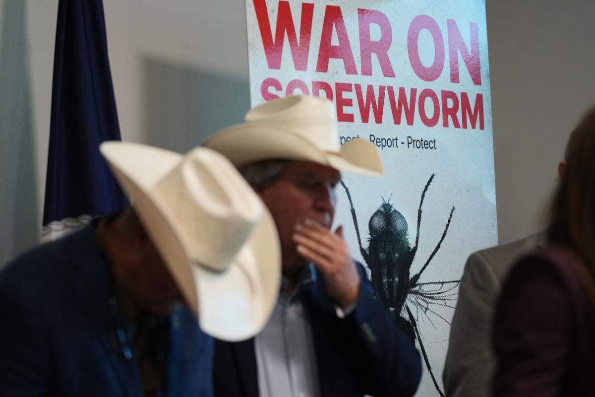 Screwworm Livestock | National | timesargus.com