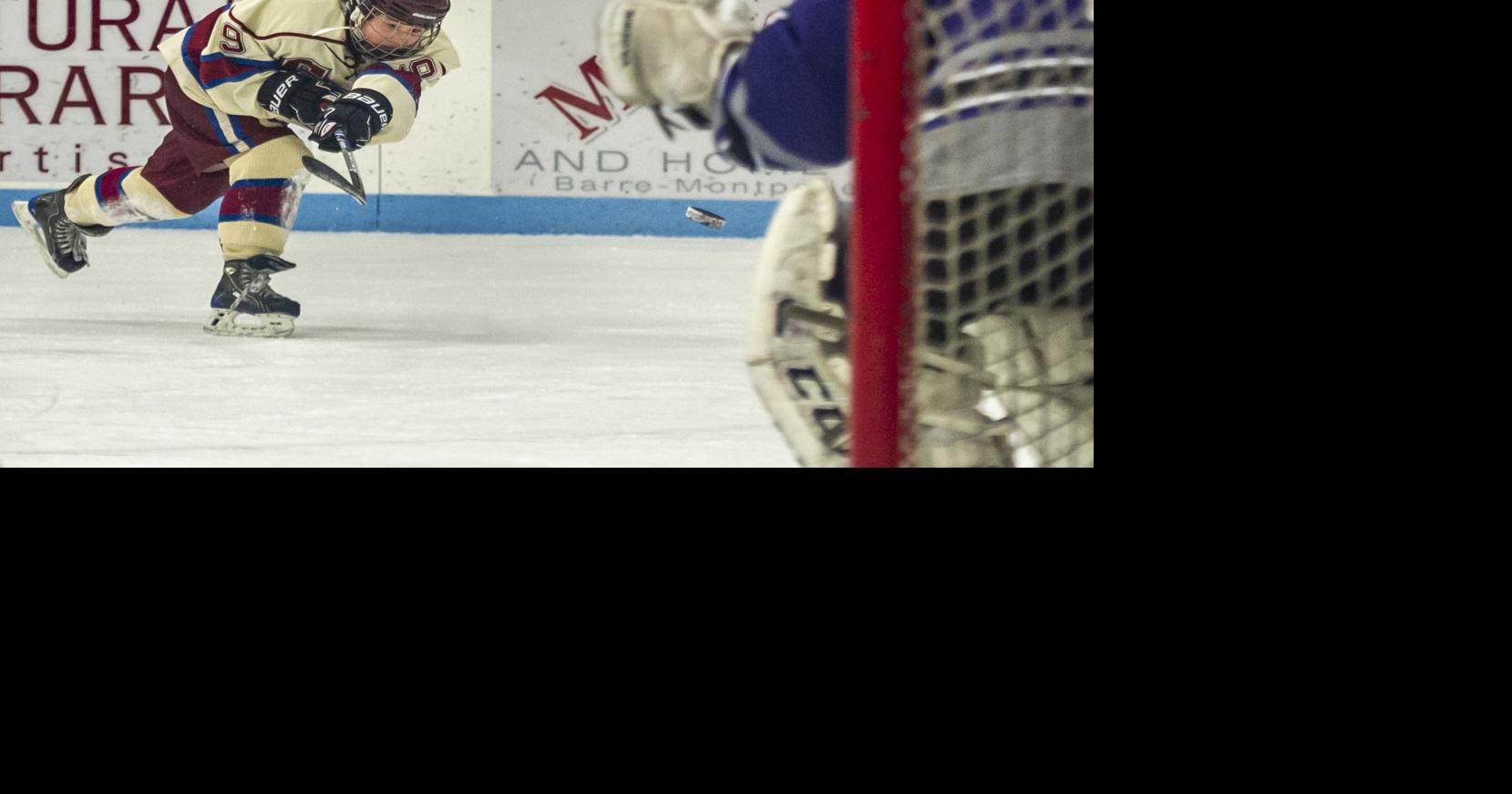 2021 Times Argus girls hockey All-Stars | Slider | timesargus.com