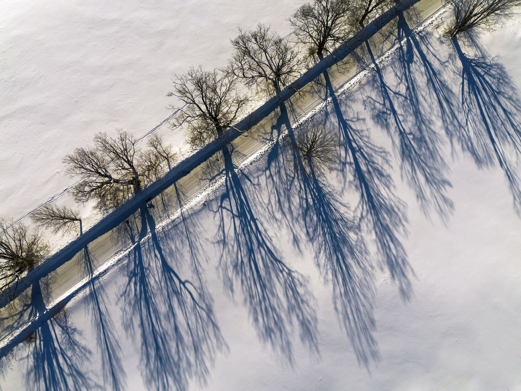 View on High | Slider | timesargus.com