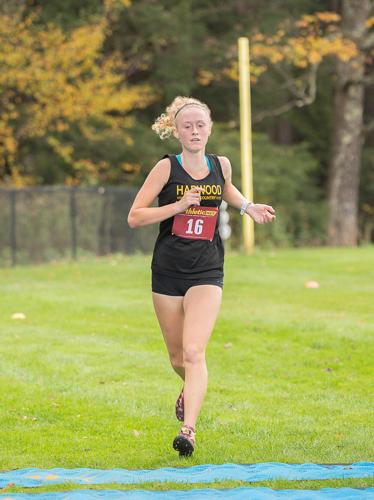 NVAC cross country championship results | Local | timesargus.com