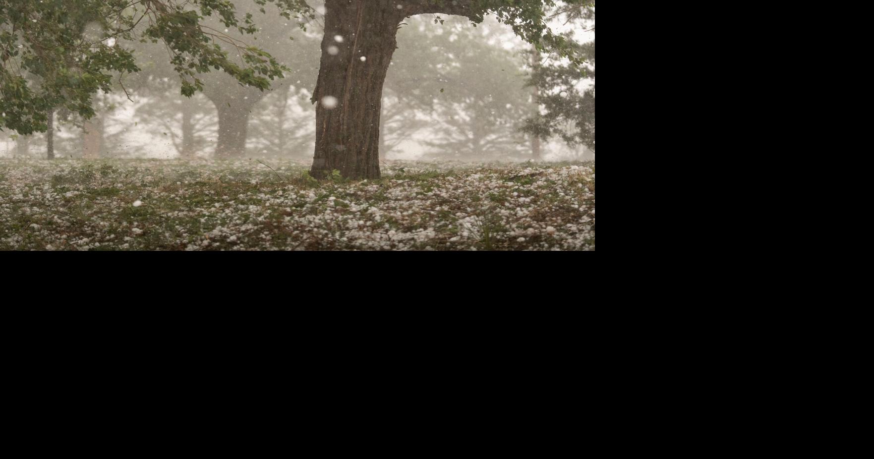 Climate Hailstone Changes | National | timesargus.com