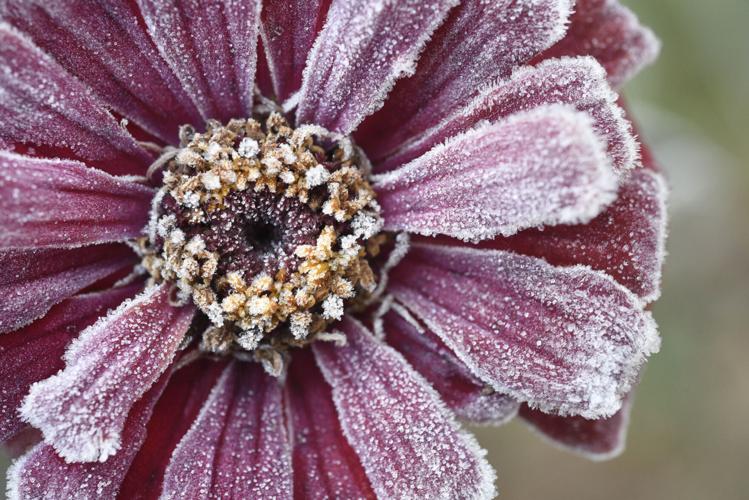 Photos of the Year by Jeb Wallace-Brodeur | Local News | timesargus.com