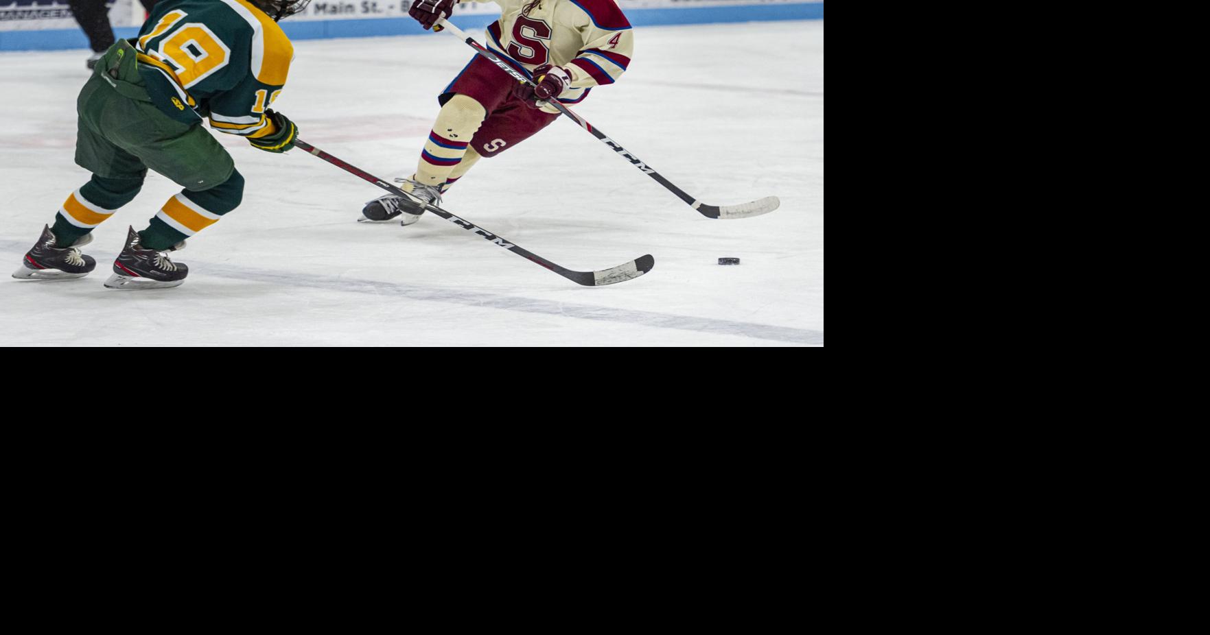 2021 Times Argus hockey All-Stars | Slider | timesargus.com