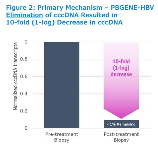 Precision BioSciences Announces New and Late-Breaking PBGENE-HBV ...