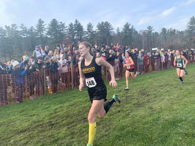 Britta Zetterstrom | Local Athletes | timesargus.com