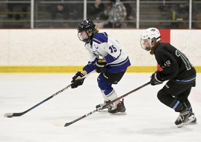 Coaches honor girls hockey stars | Local | timesargus.com