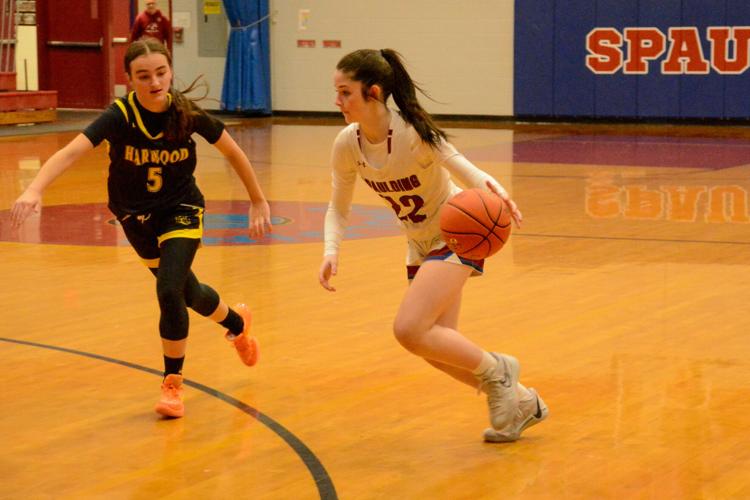 North Country, RHS make loud statements | Sports | timesargus.com