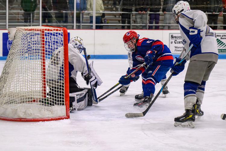 Coaches unveil boys hockey All-Star teams | Local | timesargus.com