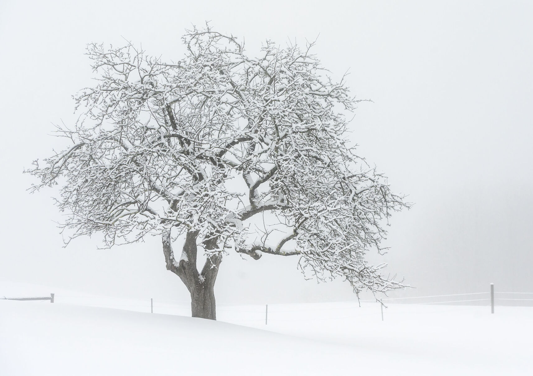 Overnight Storm | Slider | timesargus.com