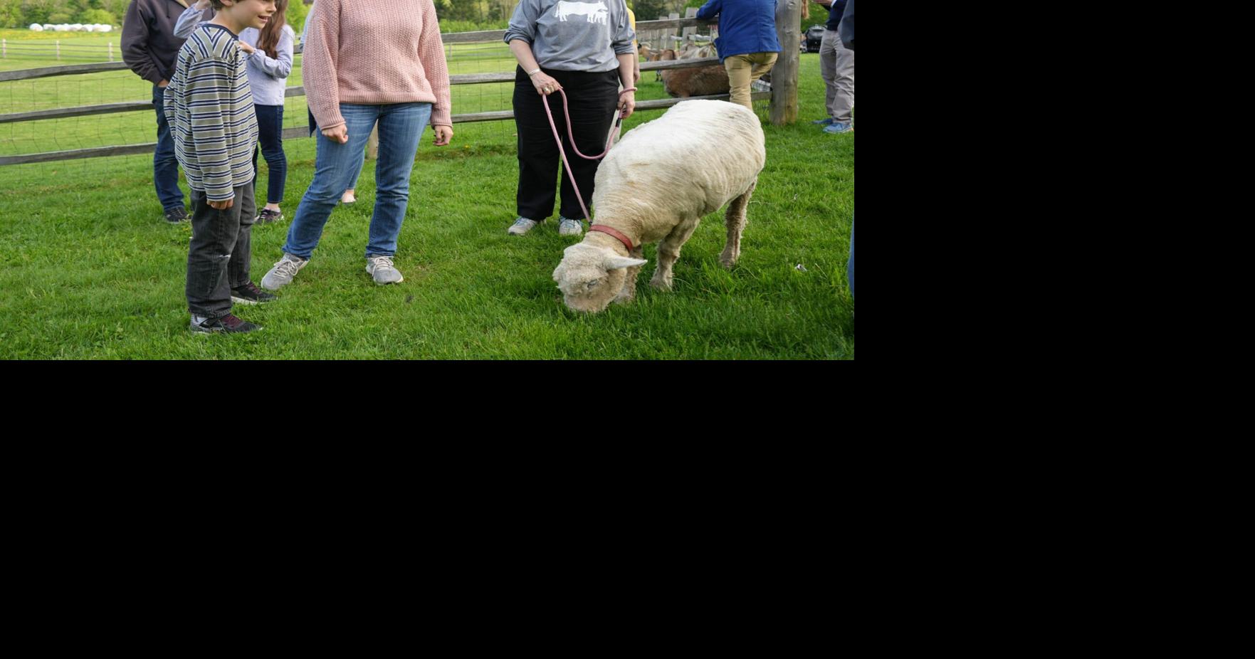 Times Argus Community News for May 16, 2025 | Community | timesargus.com