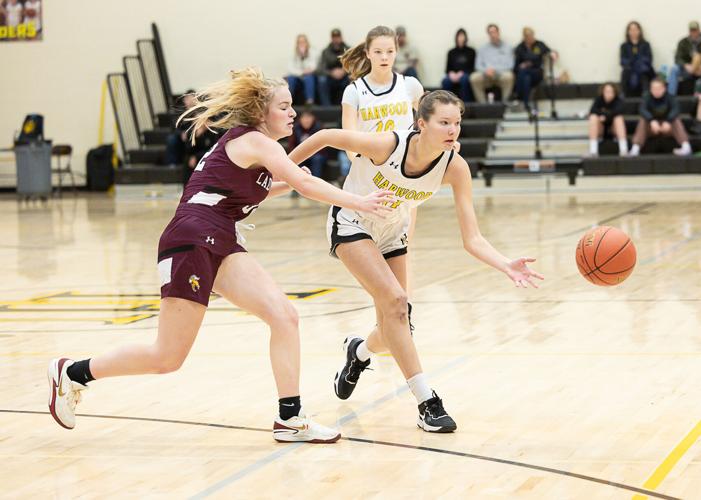 Roundup: Lilley, Nelson lift Harwood past Lamoille | Local | timesargus.com