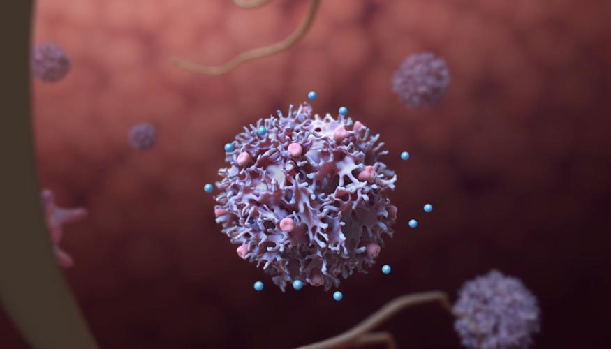 Surf Therapeutics Announces Early Feasibility Study (EFS) To Advance ...