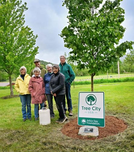 Waterbury named Vermont’s 10th Tree City USA | Local News | timesargus.com