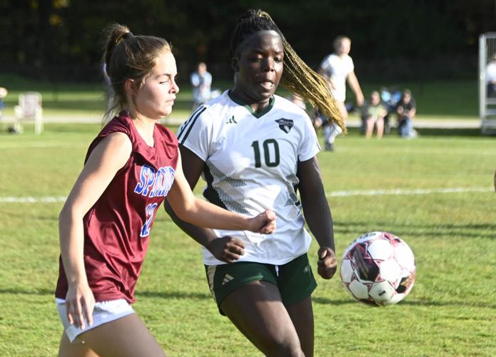 Girls teams peaking for the postseason | Slider | timesargus.com