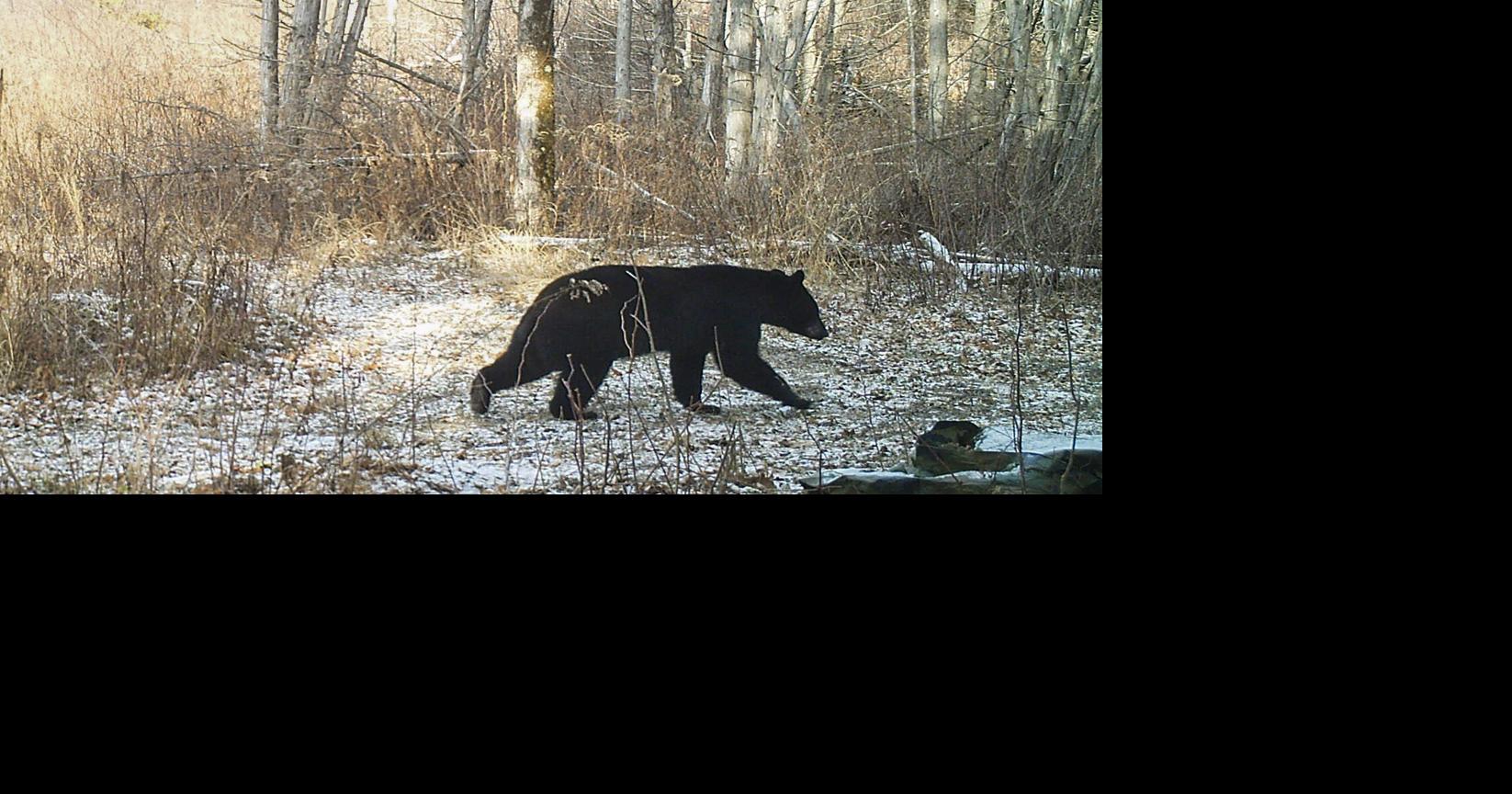 Times Argus Community News for Nov. 9, 2024 | Community | timesargus.com