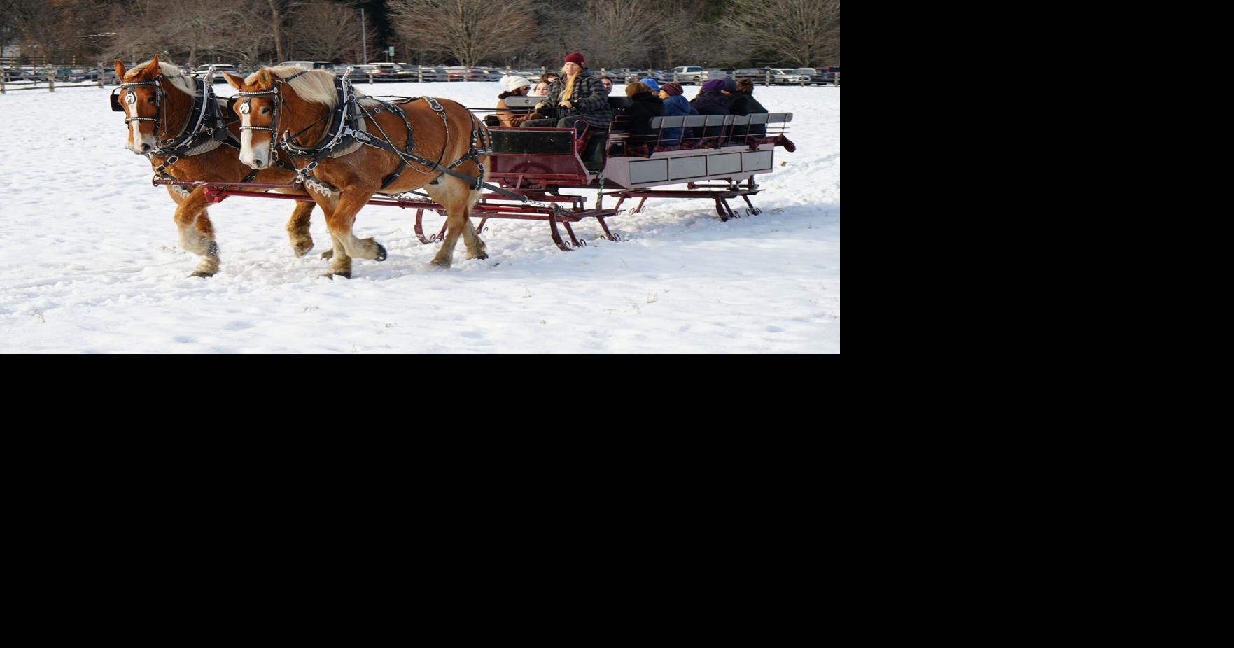 Times Argus Community News for Dec. 3, 2024 | Community | timesargus.com