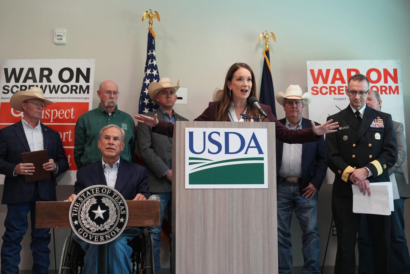 Screwworm Livestock | National | timesargus.com