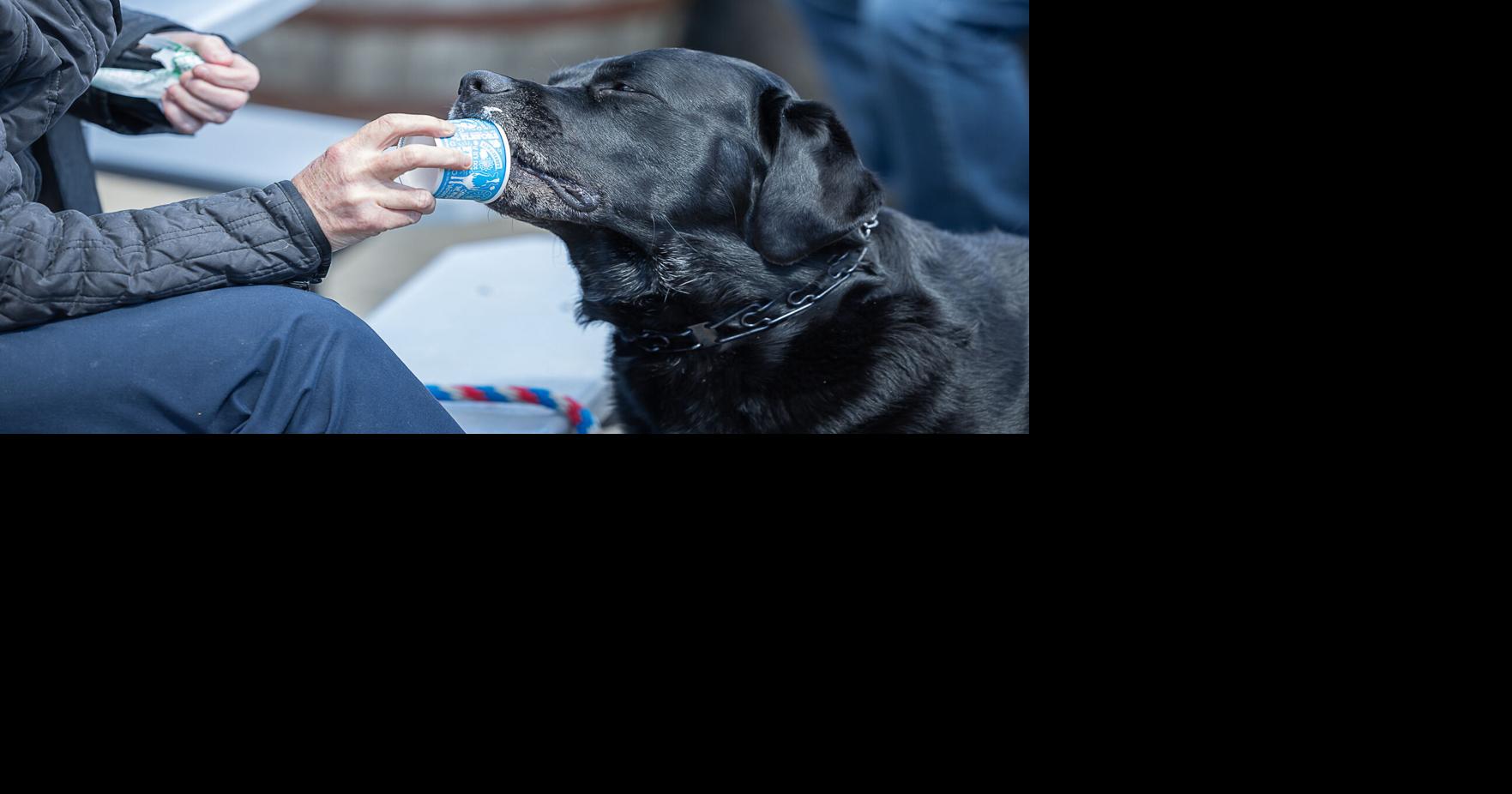 Lickity Split | Slider | timesargus.com