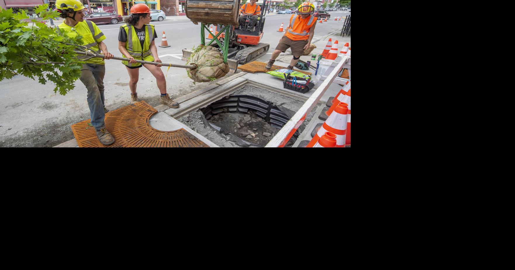 Tree Planting | Slider | timesargus.com