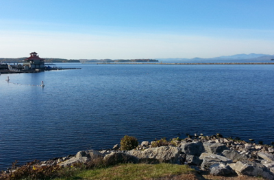 Nonprofits combine research and legal expertise to protect Lake ...