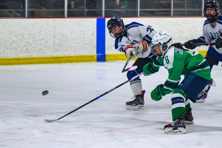 Coaches honor girls hockey stars | Local | timesargus.com