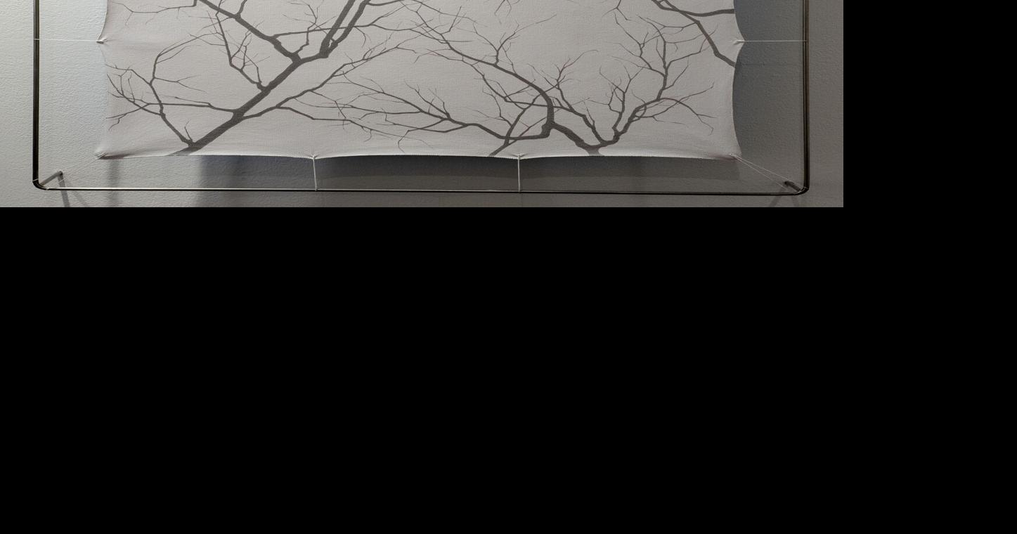 Barre’s ‘Silver Lining’: SPA celebrates 25 years | Vermont Arts ...