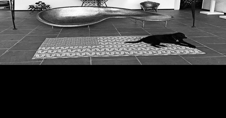 Local visual arts | | timesargus.com