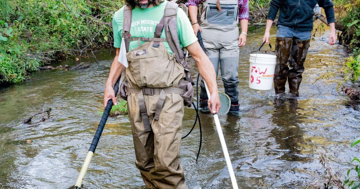 Times Argus Community News for Oct. 23, 2024 | Community | timesargus.com