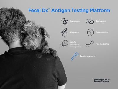 IDEXX Expands Fecal Dx Antigen Testing Platform with Taeniid Tapeworm ...