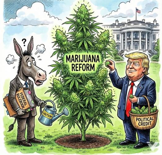 Trumps Marijuana Reclassification is Only the Beginning: Why MMJ ...