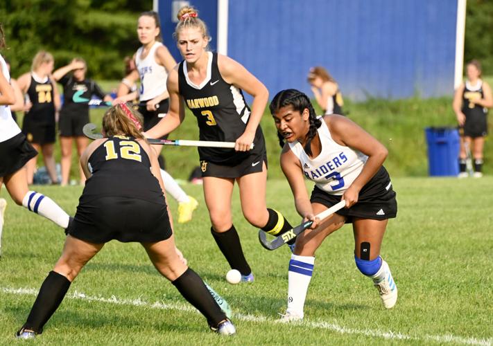 Field hockey squads build momentum | Sports | timesargus.com
