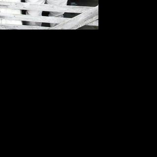 Colin McCaffrey: 'Busiest musician in town' | News | timesargus.com