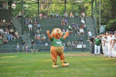 Mountaineers suffers sixth straight setback | Local | timesargus.com