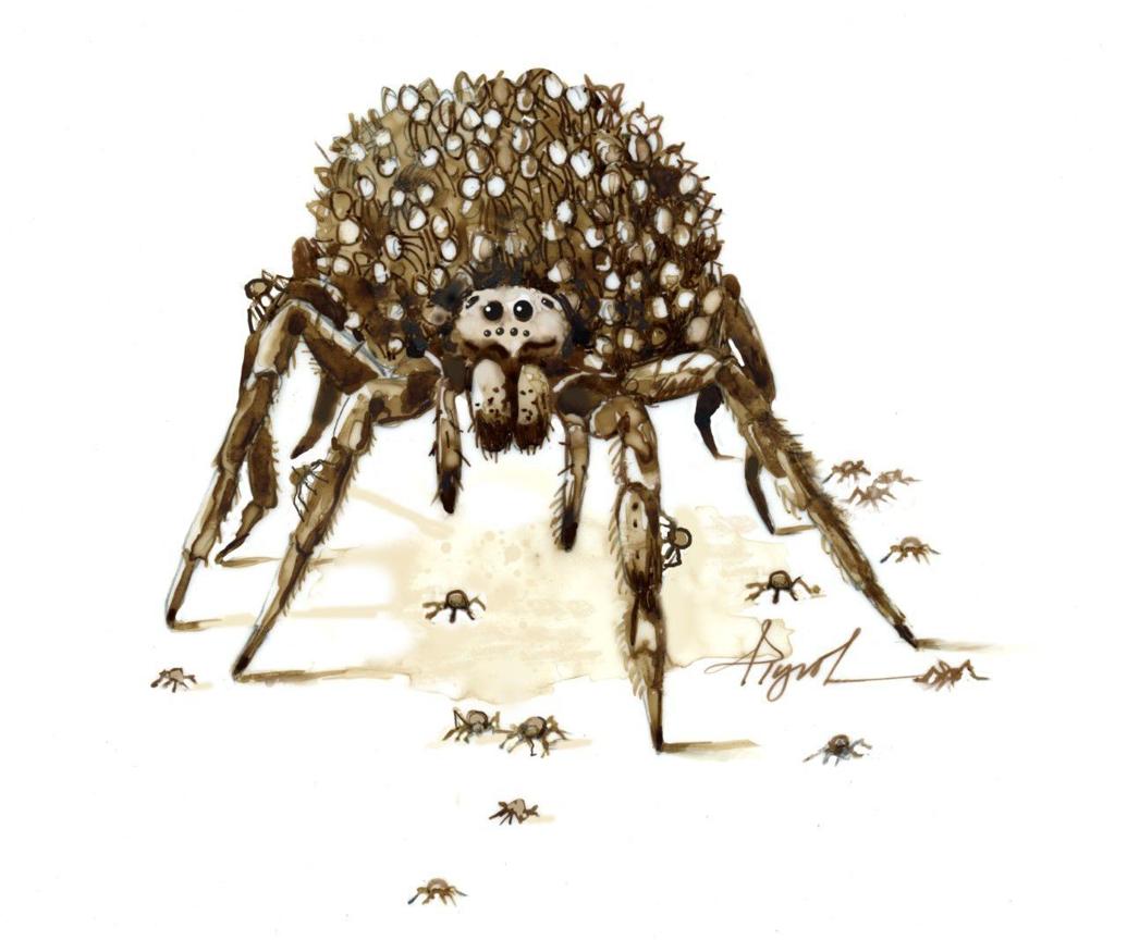 The Outside Story: The nurturing nature of spider moms | Weekend ...