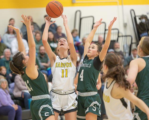 Roundup: Harwood girls oust Springfield, 58-24 | Slider | timesargus.com