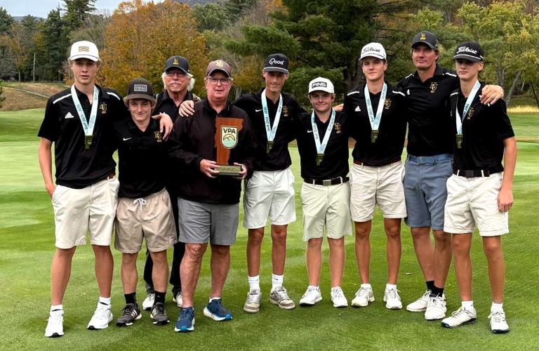 Harwood boys golf wins D-II title, Chamberlain medalist | Local ...