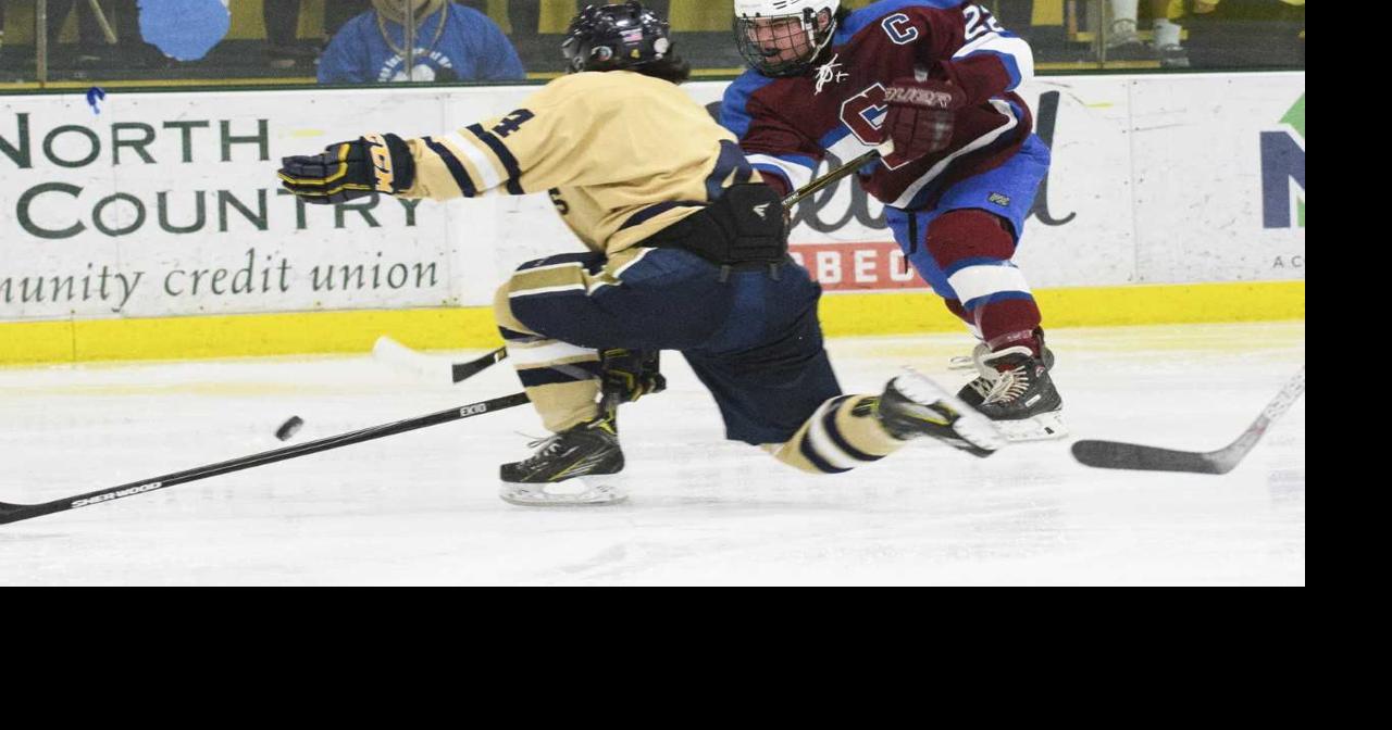 Times Argus boys hockey All-Stars | | timesargus.com
