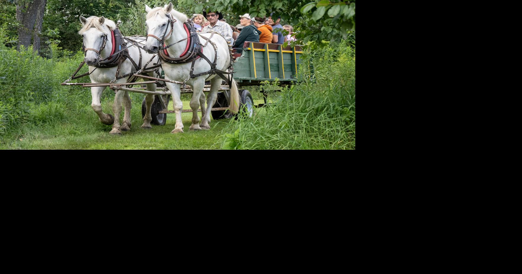 Times Argus Community News for July 31, 2025 | Community | timesargus.com