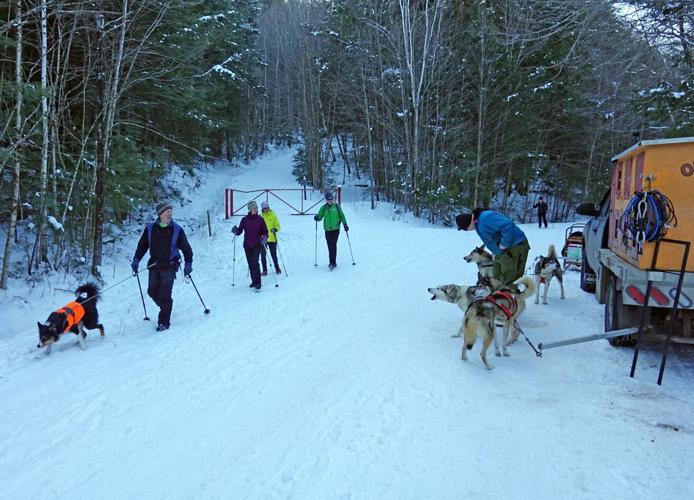 Keeping a winter tradition: Mushing at Little River with October ...