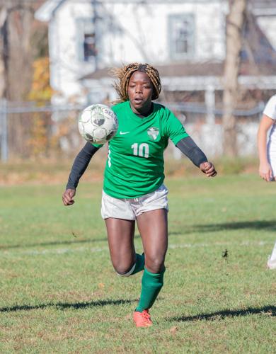 Roundup: Harwood blanks North Country, 2-0 | Slider | timesargus.com