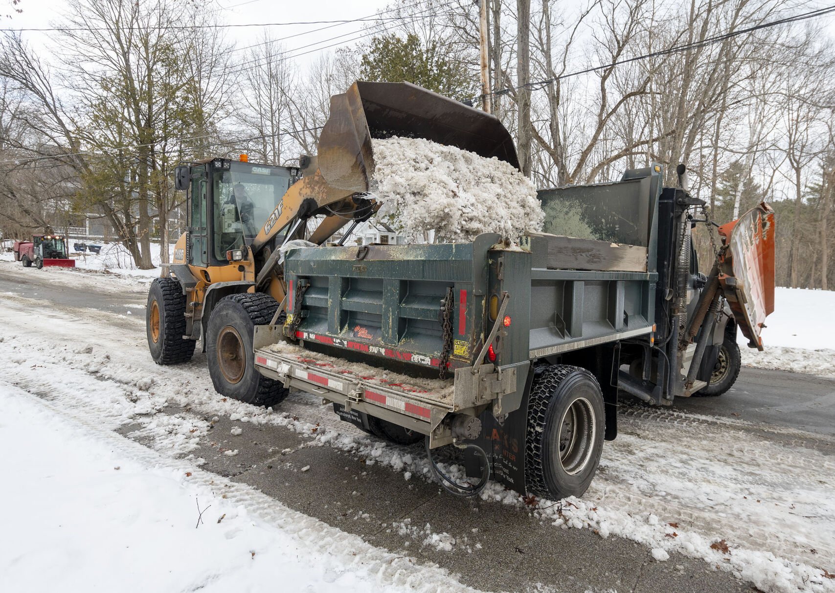 Steer Clear | Slider | timesargus.com