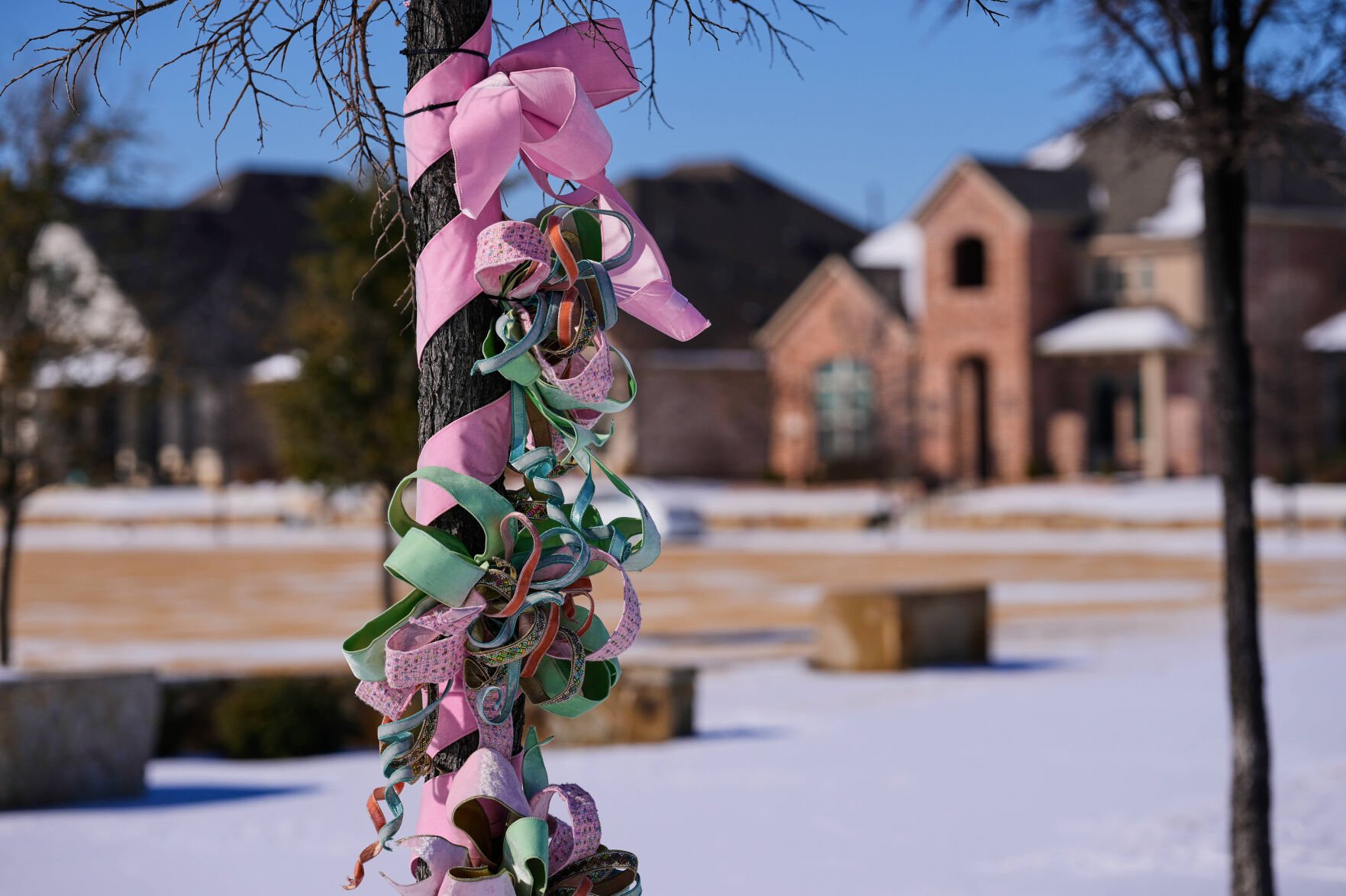 Winter Weather | National | timesargus.com