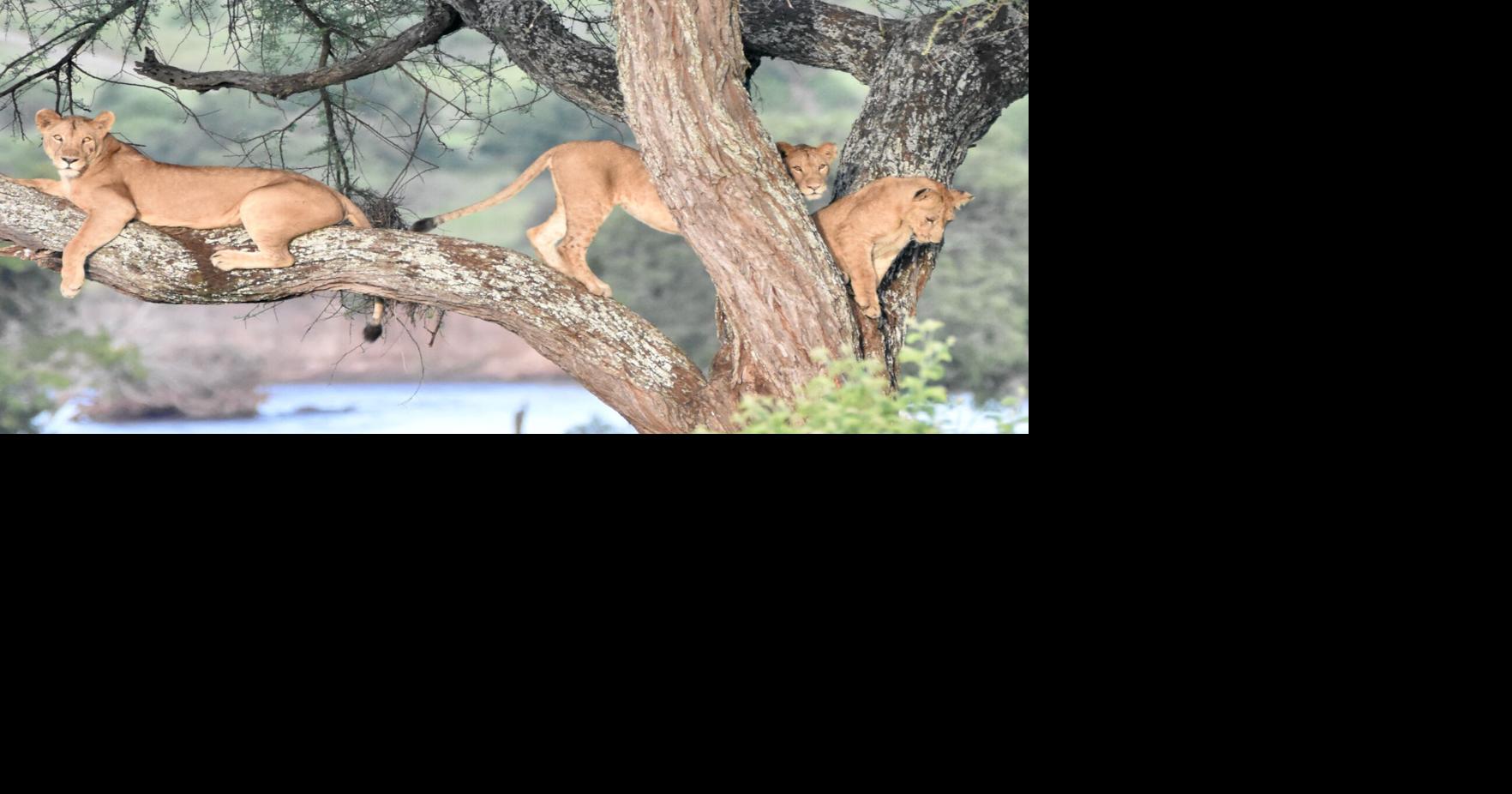 Steve Costello's Wildlife: Unexpected treasure | Weekend Magazine ...