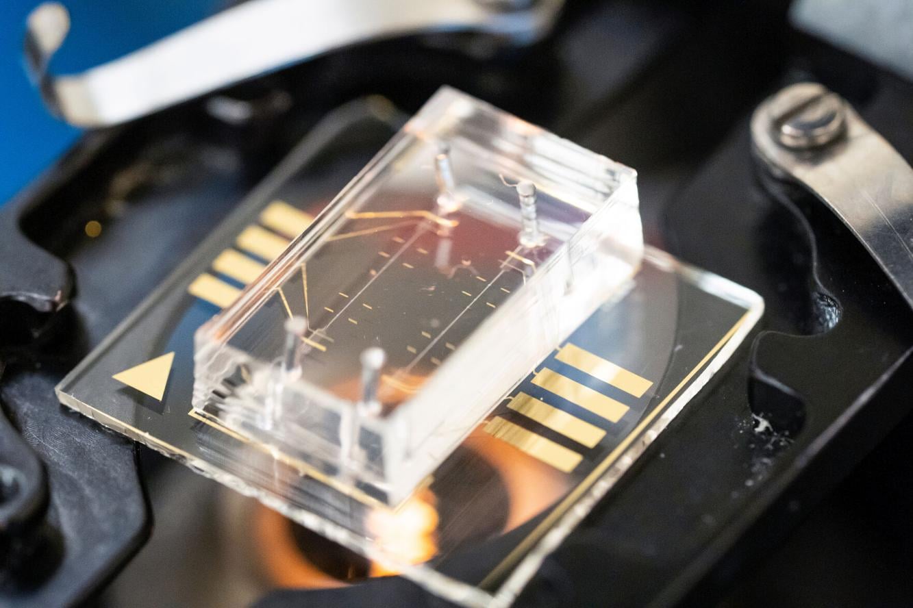 City of Hope and UC Berkeley Researchers Teach AI to Spot Cancer Risk ...