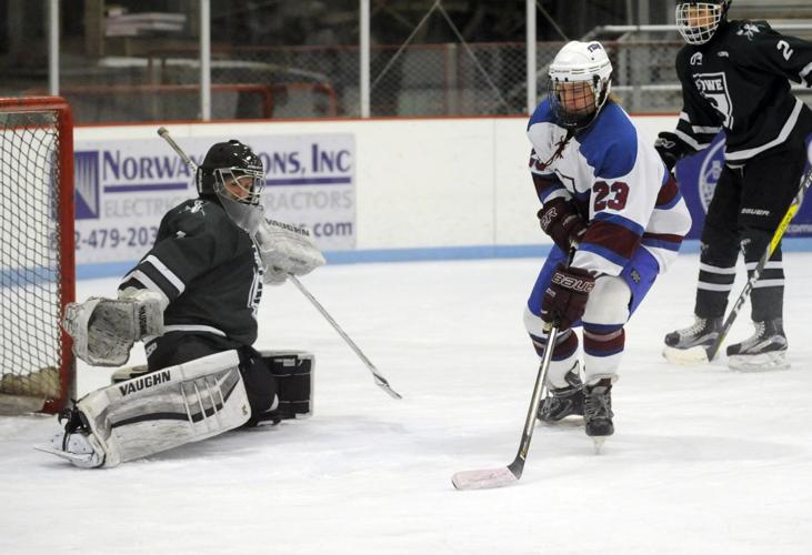 Times Argus boys hockey All-Stars | | timesargus.com