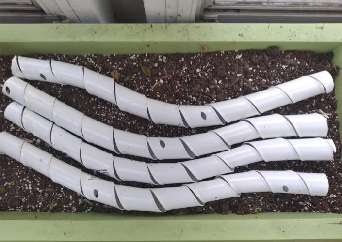 UVM Extension: Fruit trees winter prep | Weekend Magazine | timesargus.com