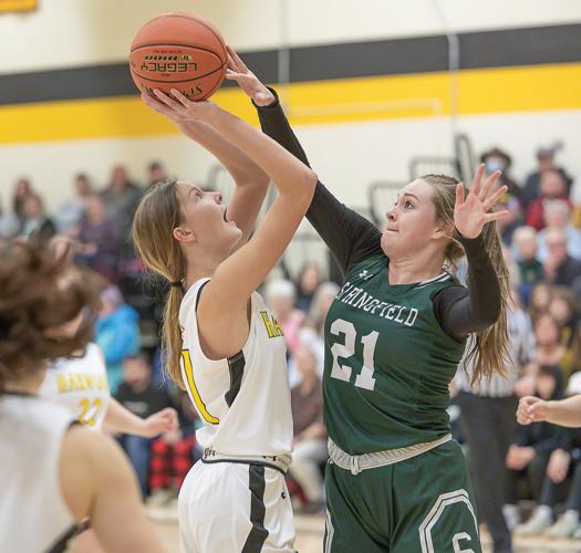 Roundup: Harwood girls oust Springfield, 58-24 | Slider | timesargus.com