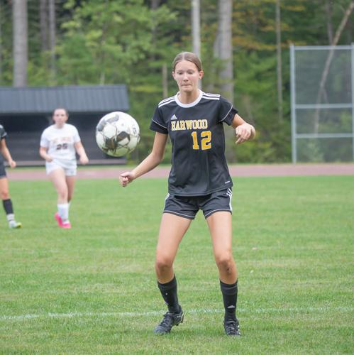 Roundup: Harwood downs Lamoille, 5-2 | Slider | timesargus.com
