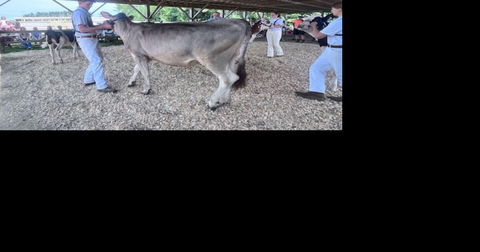 Times Argus Community News for July 29, 2025 | Community | timesargus.com