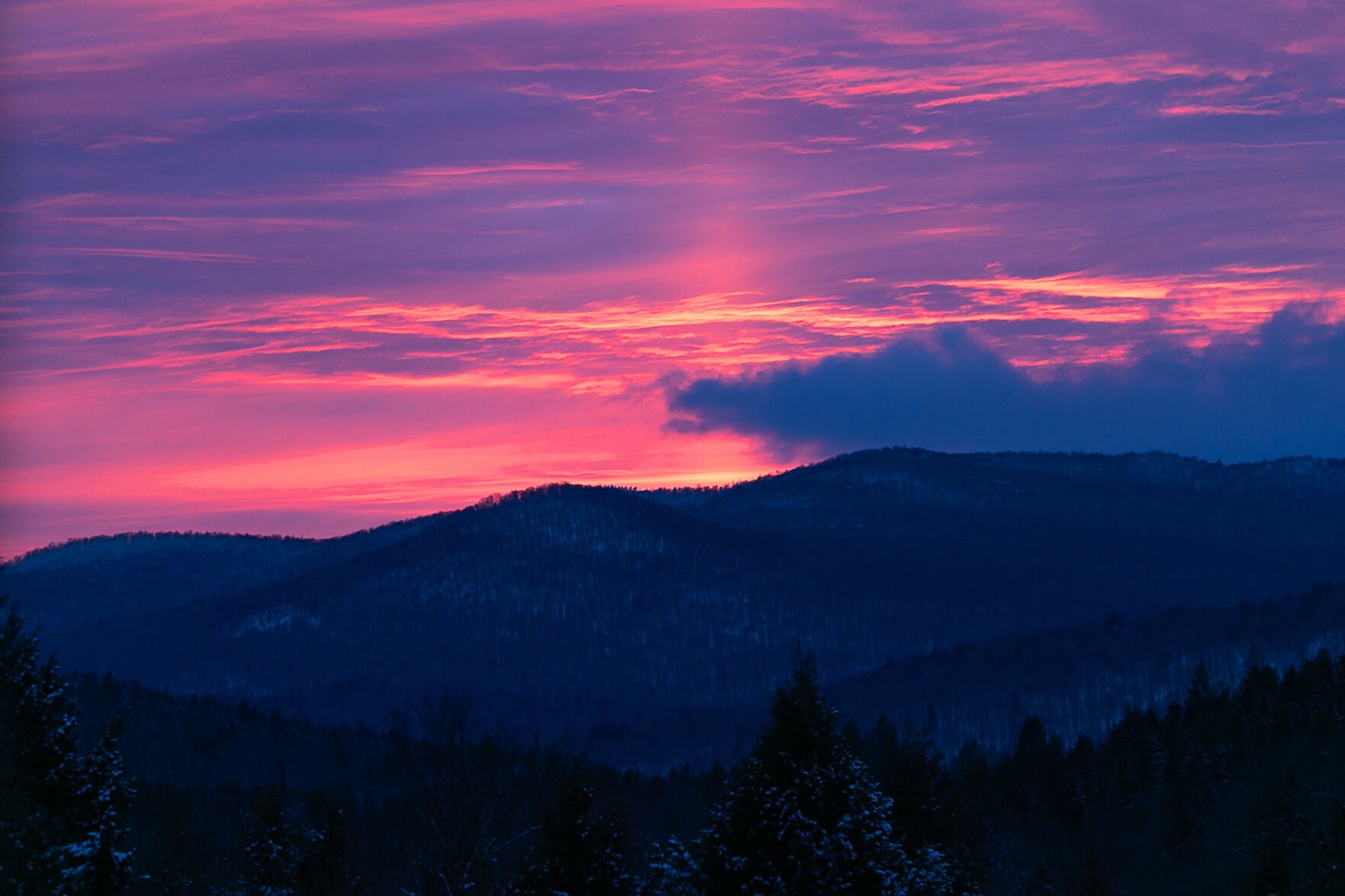 Sunny Side Up | Slider | timesargus.com